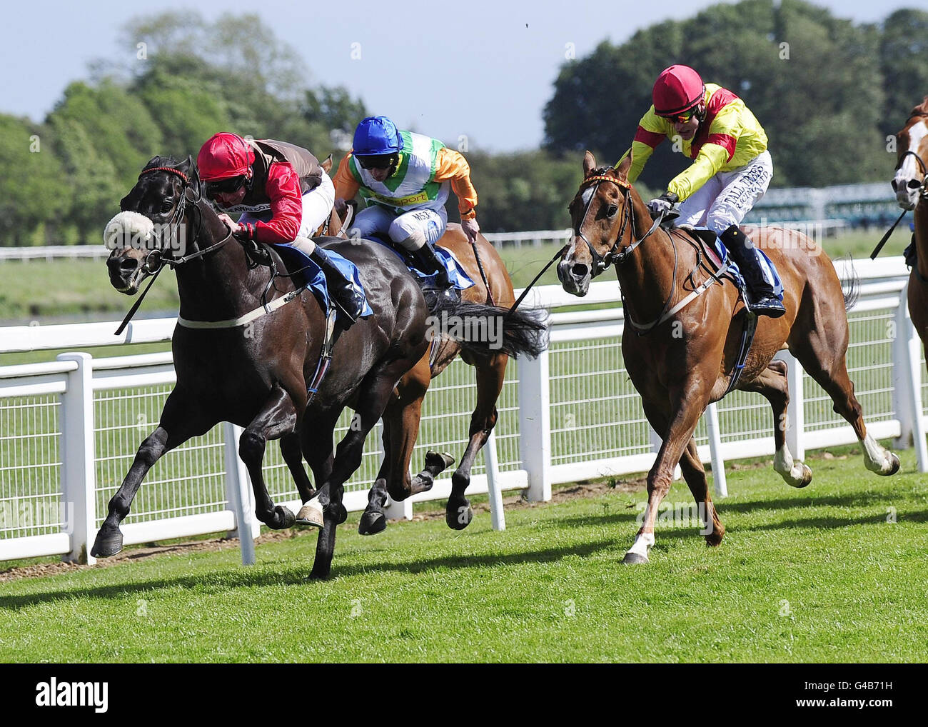 Horse Racing - Ripon Stock Photo - Alamy