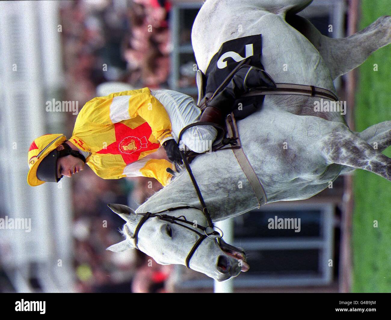 Final parade for One Man as he walks around at Aintree today (Friday ...