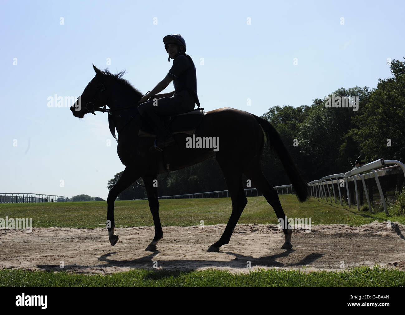 A race horse crosses the Derby course on the Gallops at Epsom Downs ...