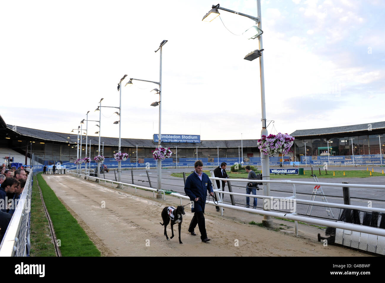 Greyhounds - Wimbledon Greyhound Stadium - 4th June 2011 Stock Photo ...