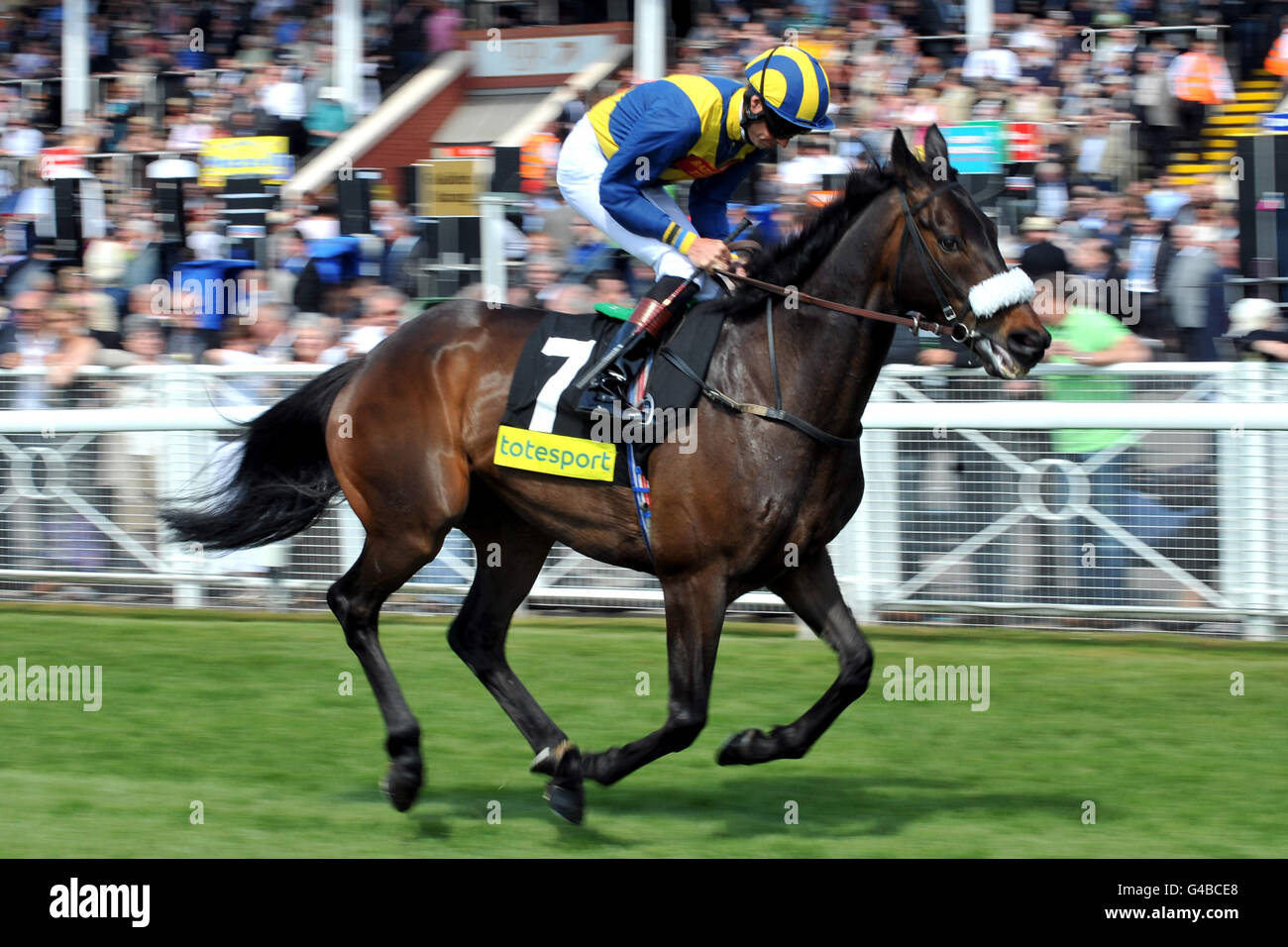 Totesport com chester cup hi-res stock photography and images - Alamy