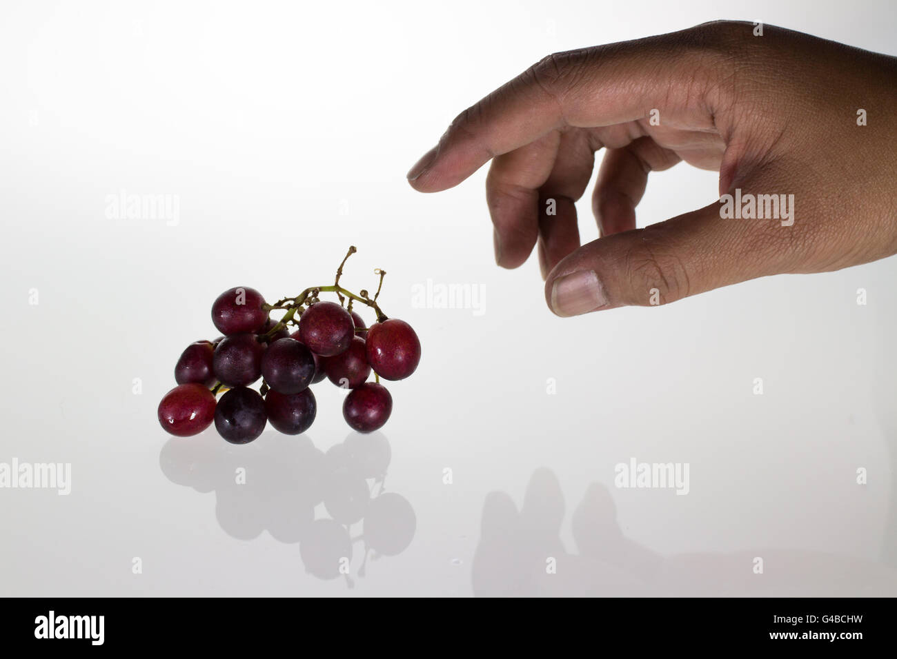Hand on fresh grape hi-res stock photography and images - Alamy