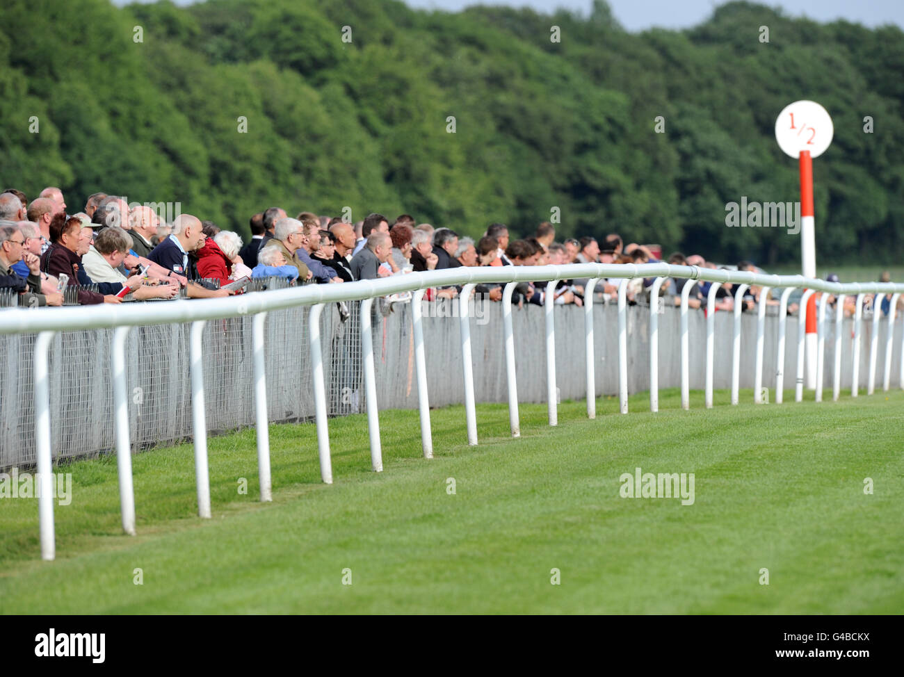 Horse Racing - British Red Cross Raceday - Haydock Park Racecourse ...