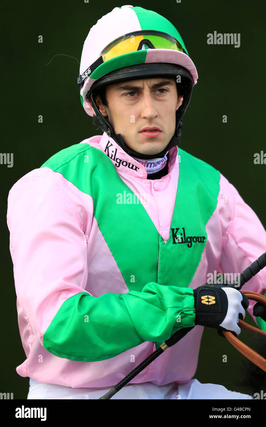 Sport horse racing chris catlin hi-res stock photography and images - Alamy