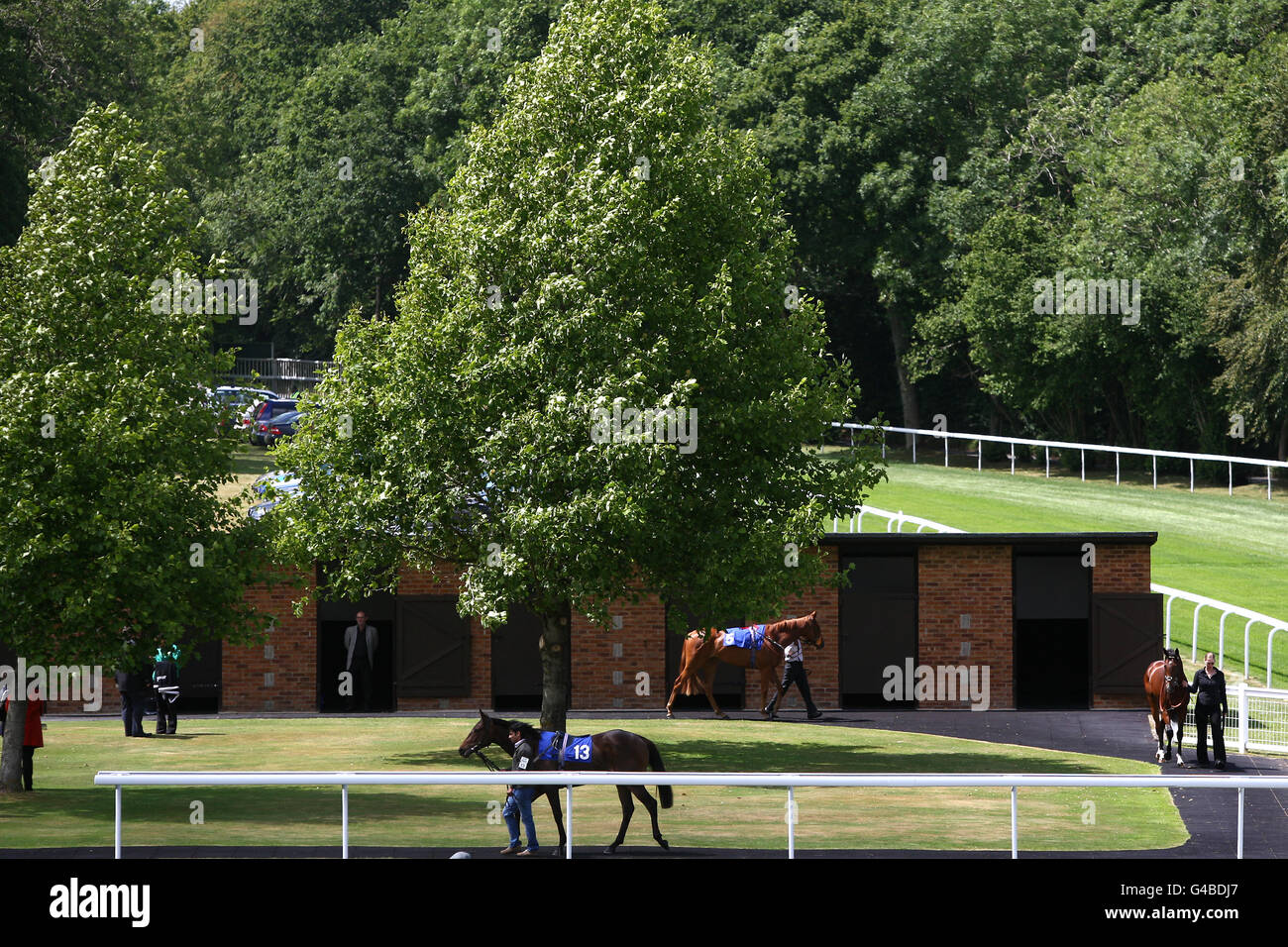 Horse Racing - Salisbury Racecourse Stock Photo - Alamy