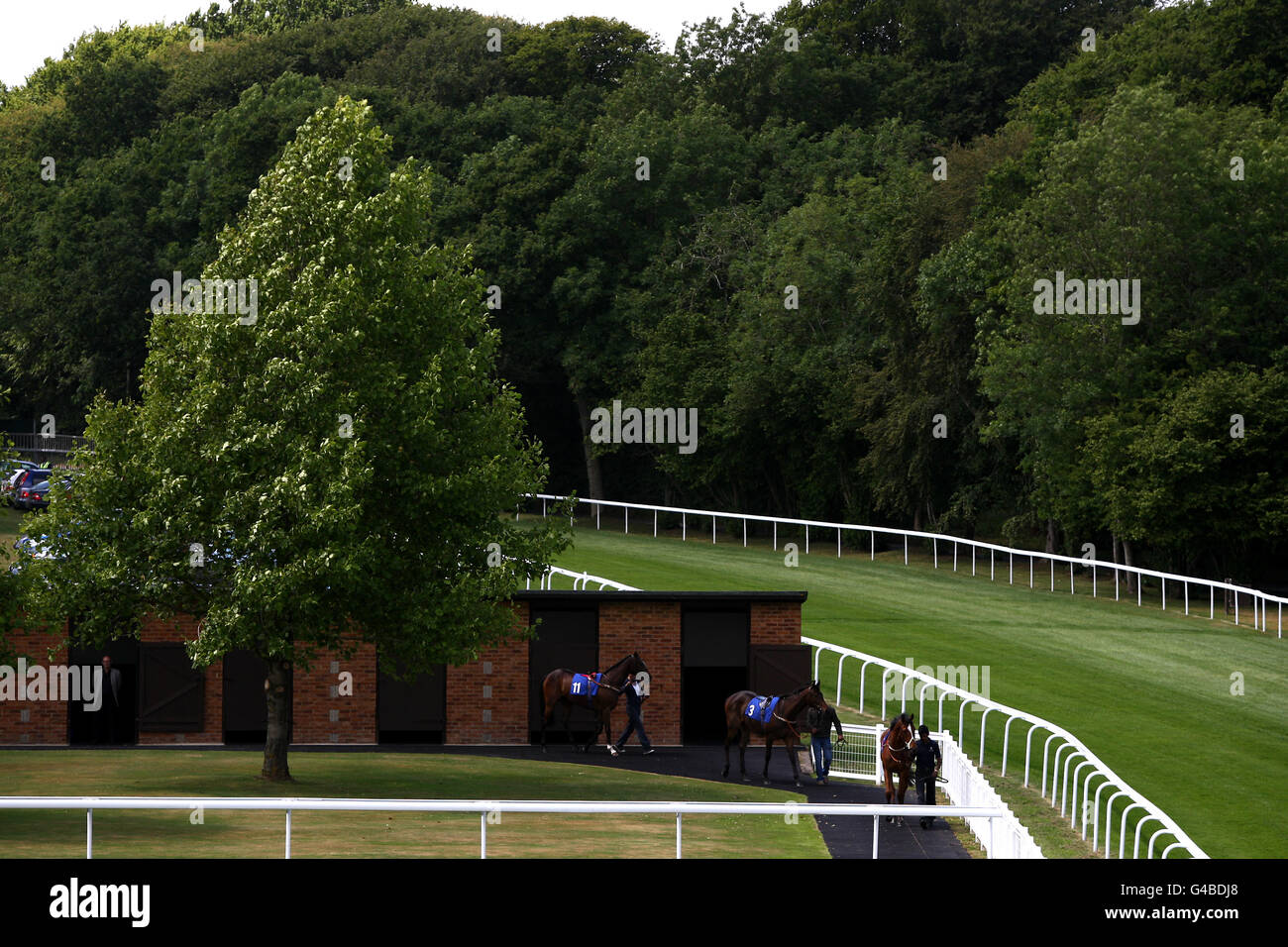 The pre parade ring at salisbury racecourse hi-res stock photography ...