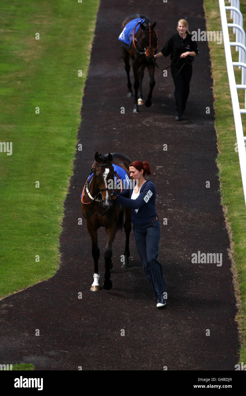Salisbury racecourse general view hi-res stock photography and images ...
