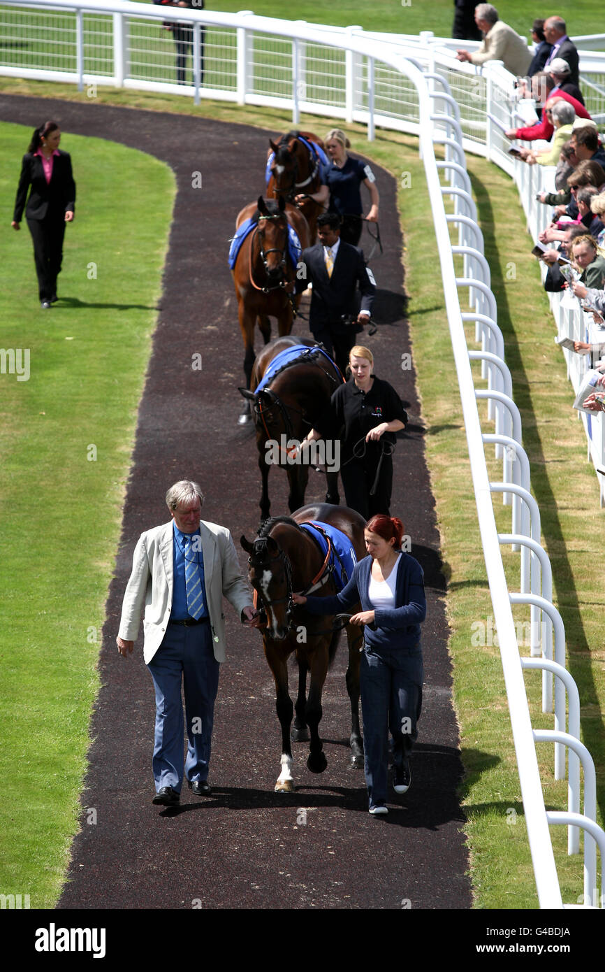 Salisbury racecourse general hi-res stock photography and images - Alamy