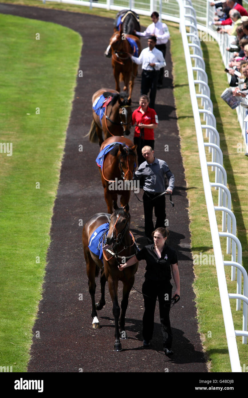 Horse Racing - Salisbury Racecourse. Horses are led around the parade ...