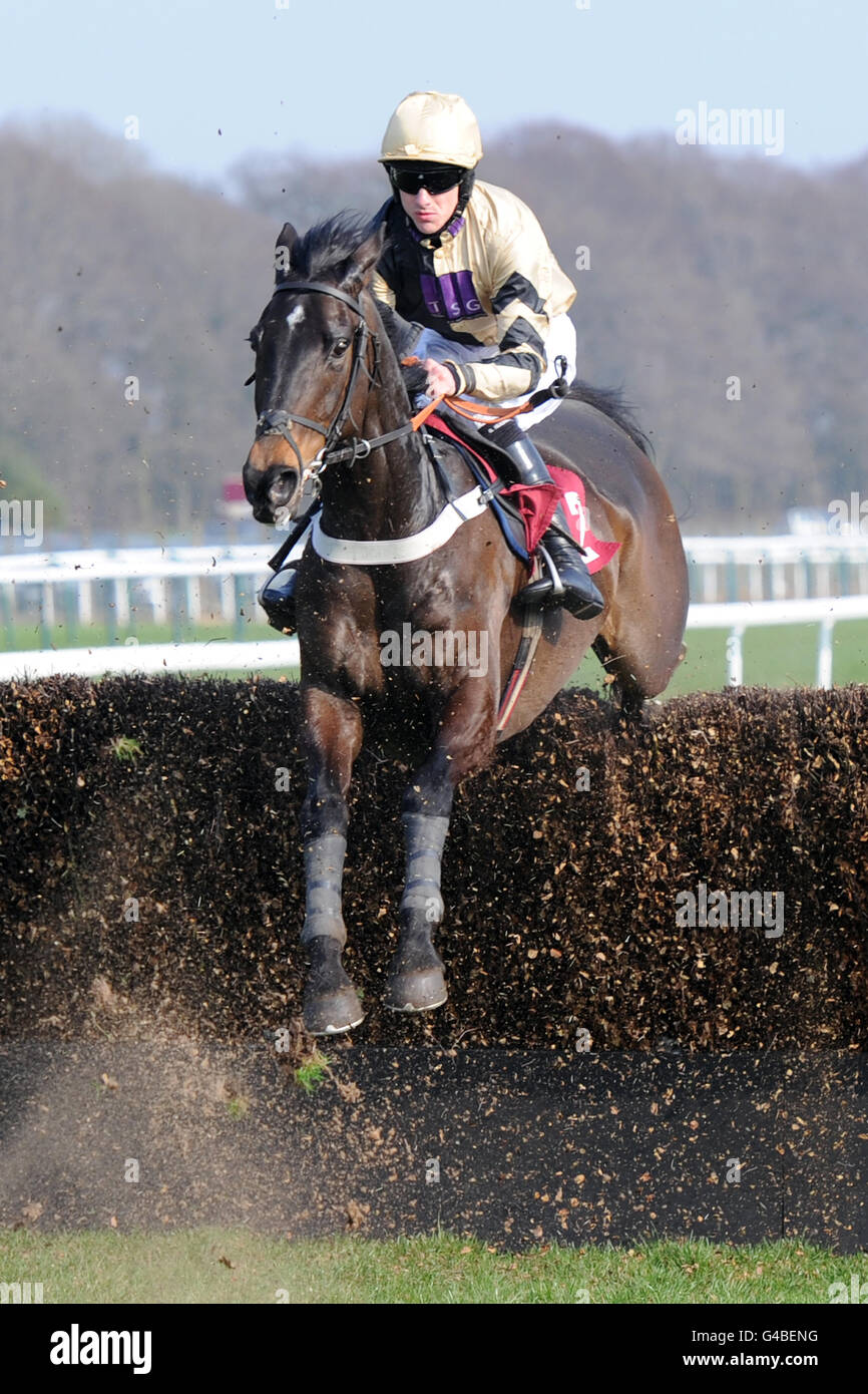Horse Racing - Haydock Park Racecourse Stock Photo - Alamy