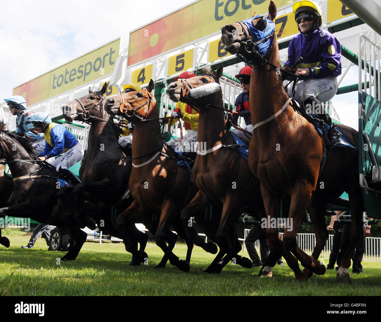 Horse Racing - Ladies Day - Ripon Racecourse Stock Photo - Alamy