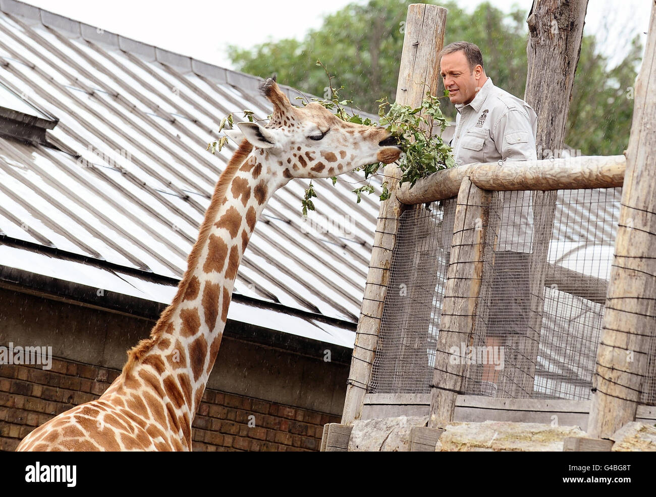 Giraffe zookeeper hi-res stock photography and images - Alamy
