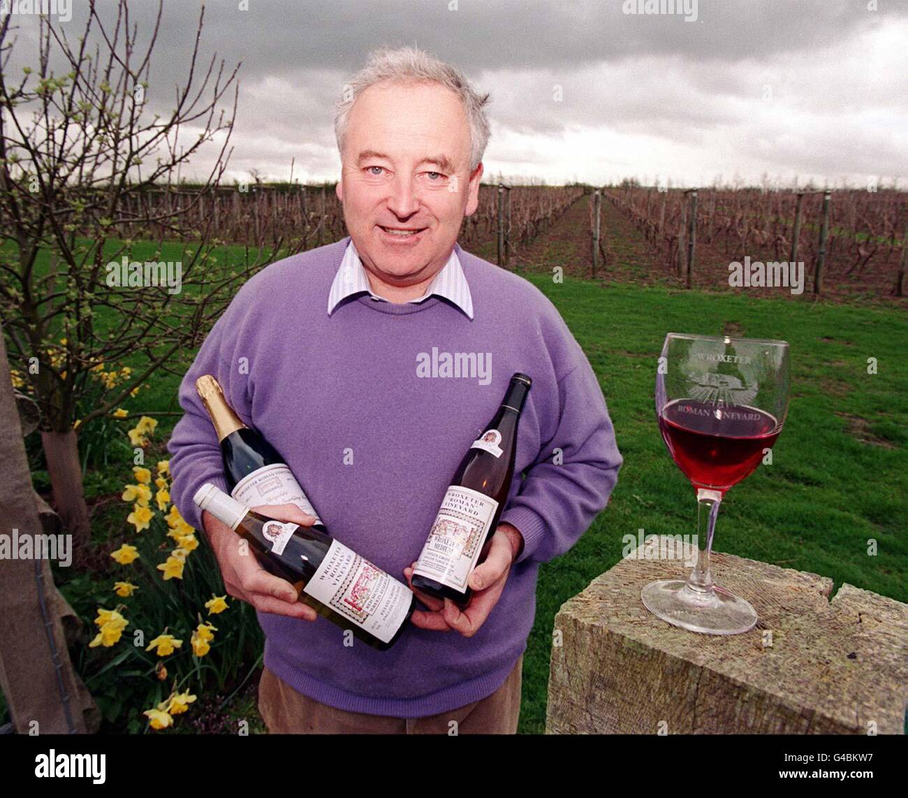 Wroxeter vineyard hi-res stock photography and images - Alamy