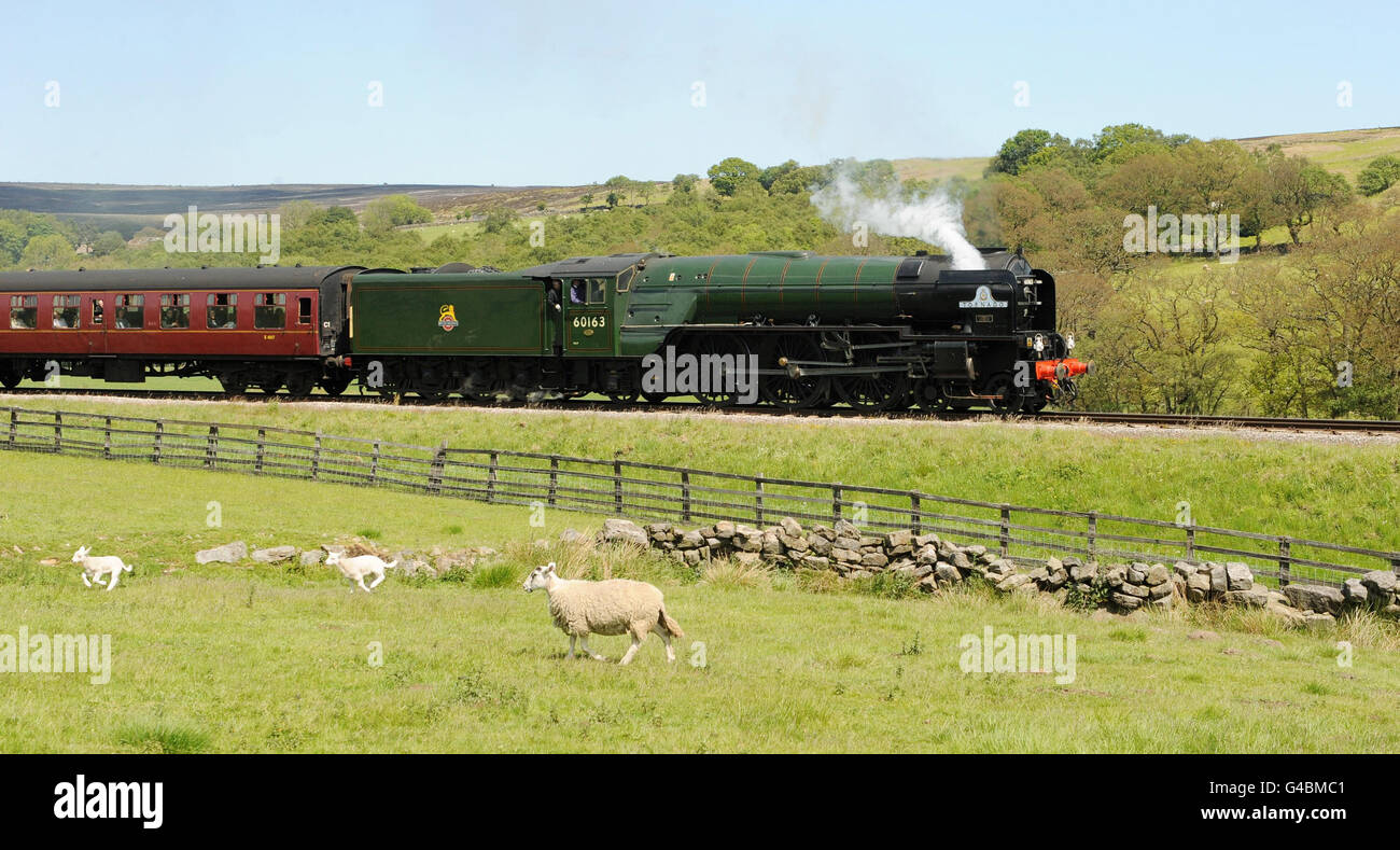 Tornado steam train Stock Photo - Alamy
