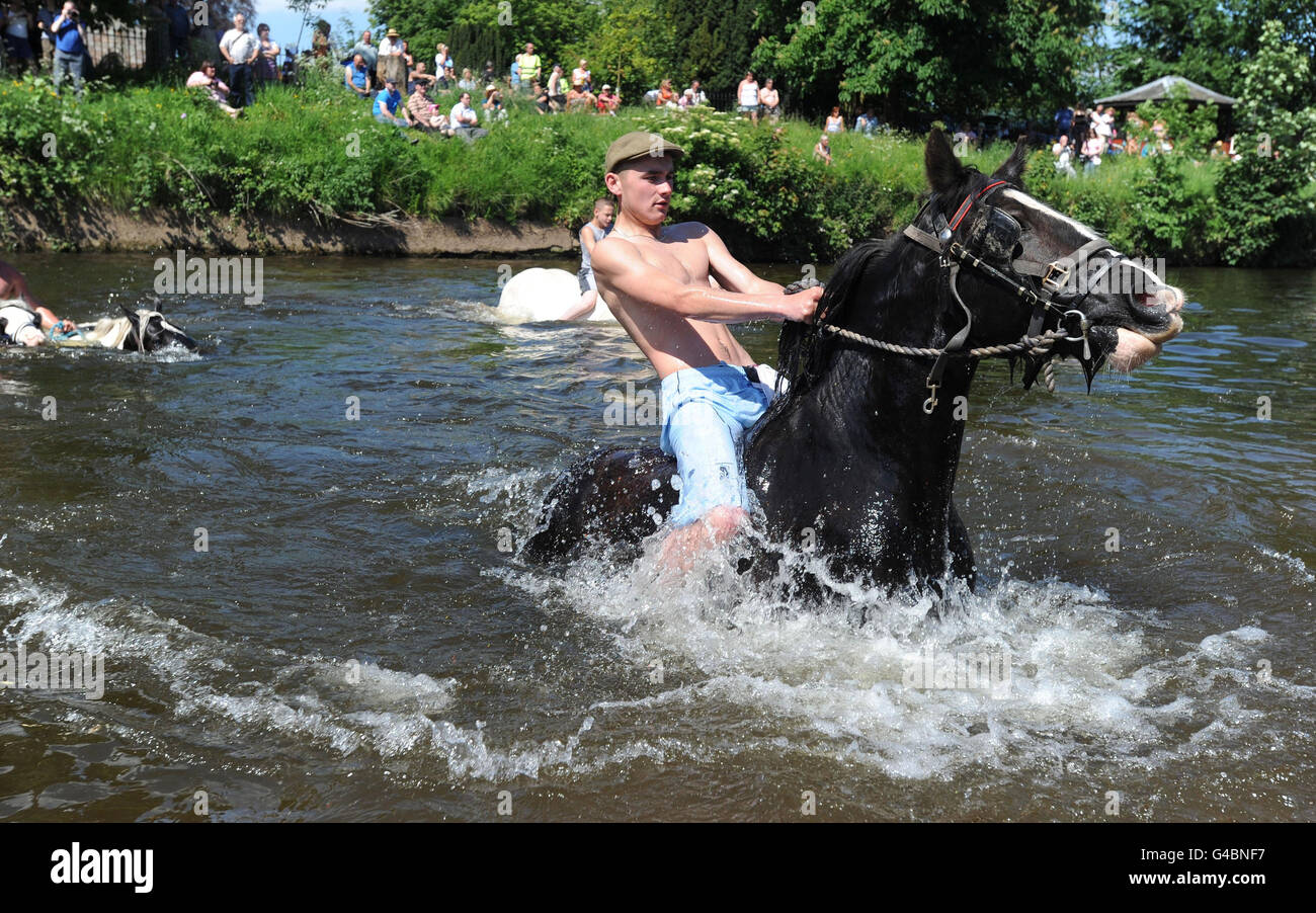 Appleby Horse Fair Stock Photo - Alamy