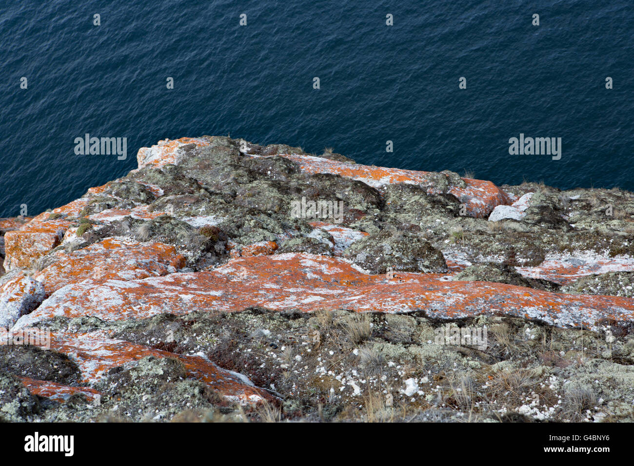 Lichen and water hi-res stock photography and images - Alamy