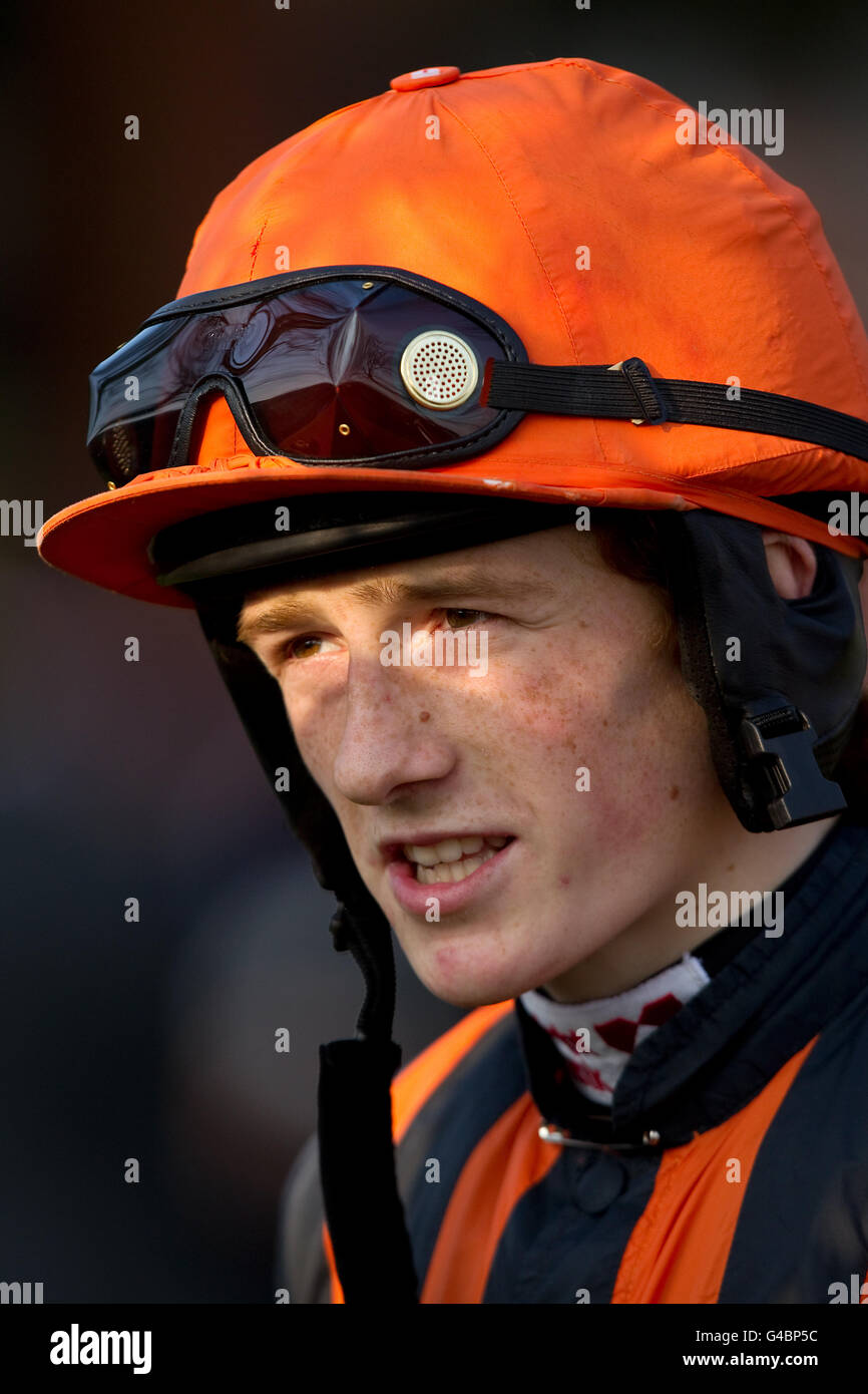 Horse Racing - Haydock Park Racecourse Stock Photo - Alamy