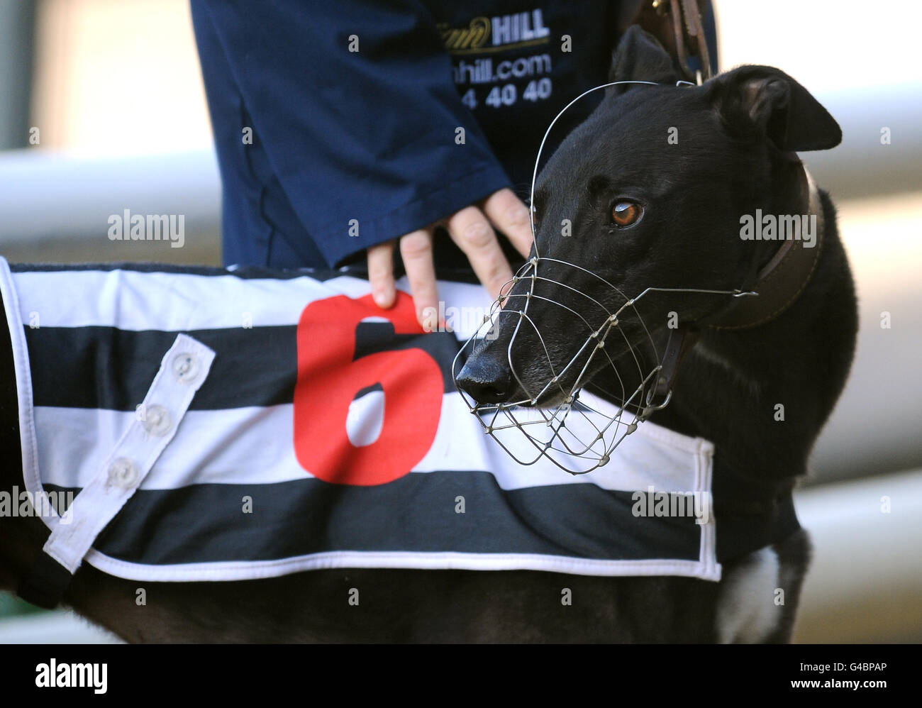 Williamhill home hi-res stock photography and images - Alamy