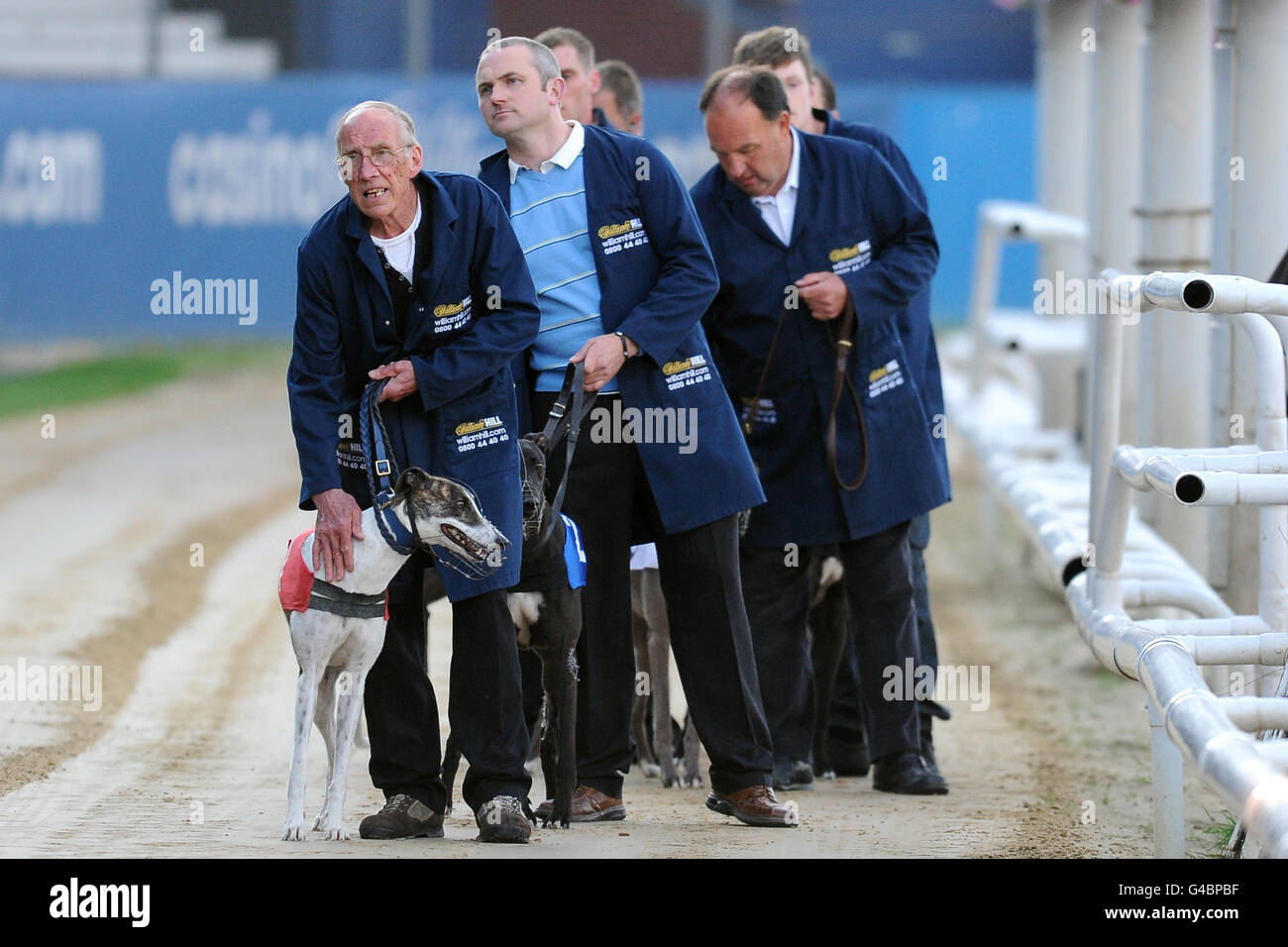 Greyhounds - Wimbledon Greyhound Stadium Stock Photo - Alamy
