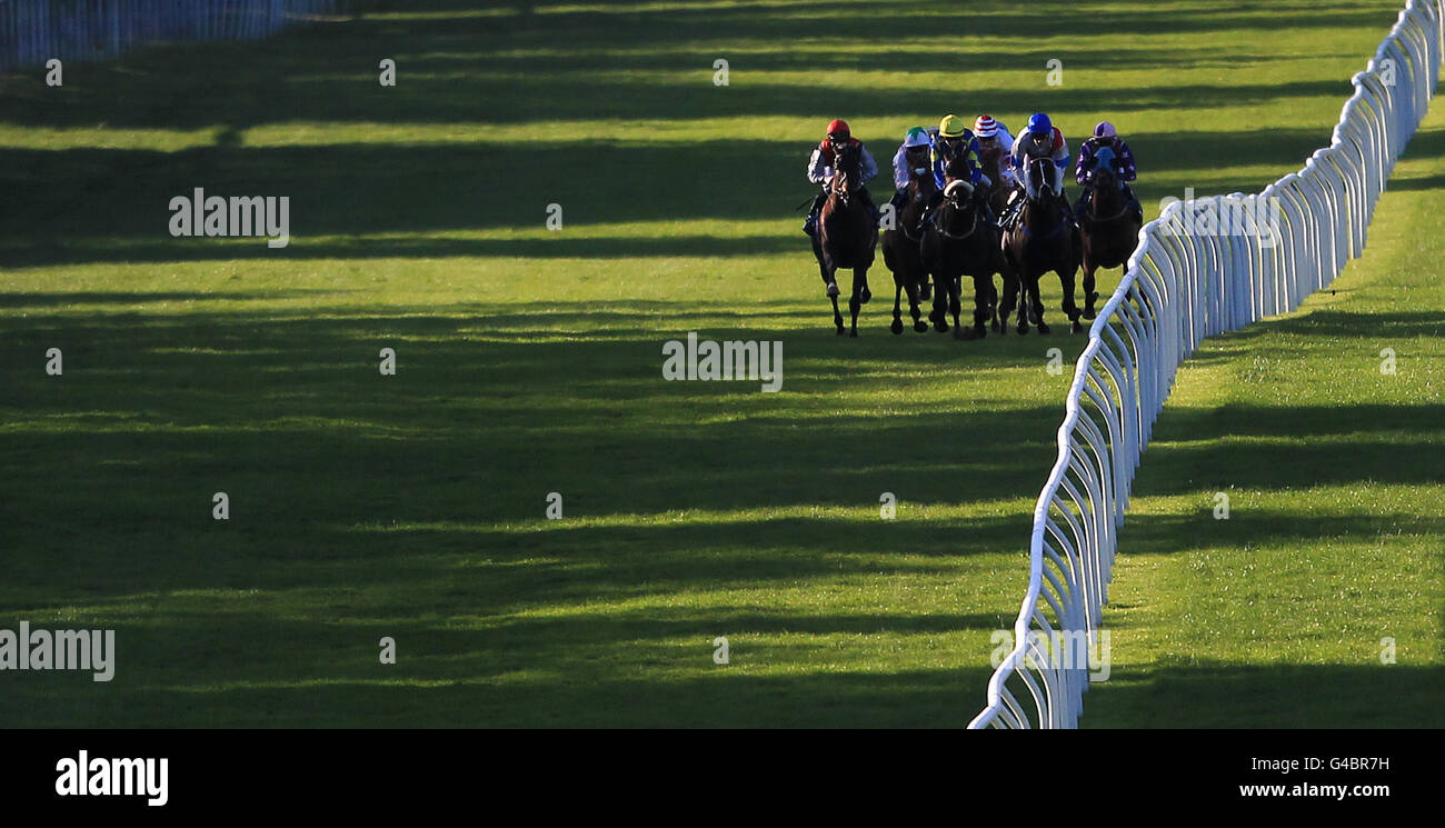 Horses in action during the Tony Bethell Memorial handicap Stakes Stock ...