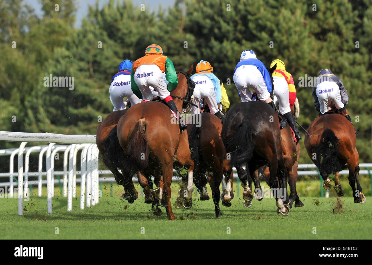 Runners riders race evening haydock park racecourse hi-res stock ...