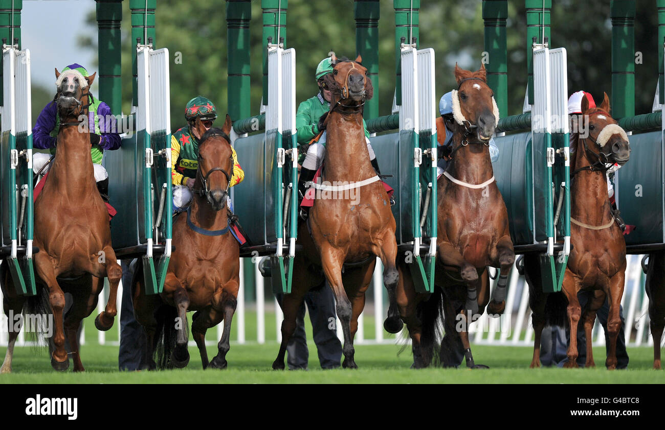 Runners riders leave stalls race evening haydock park racecourse hi-res ...