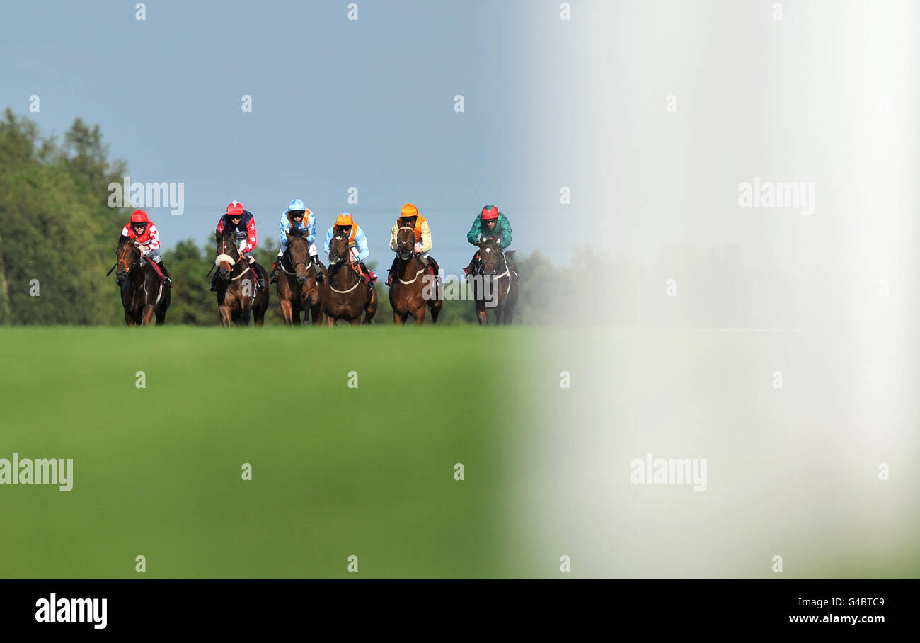 Horse Racing - Race Evening - Haydock Park Racecourse Stock Photo - Alamy