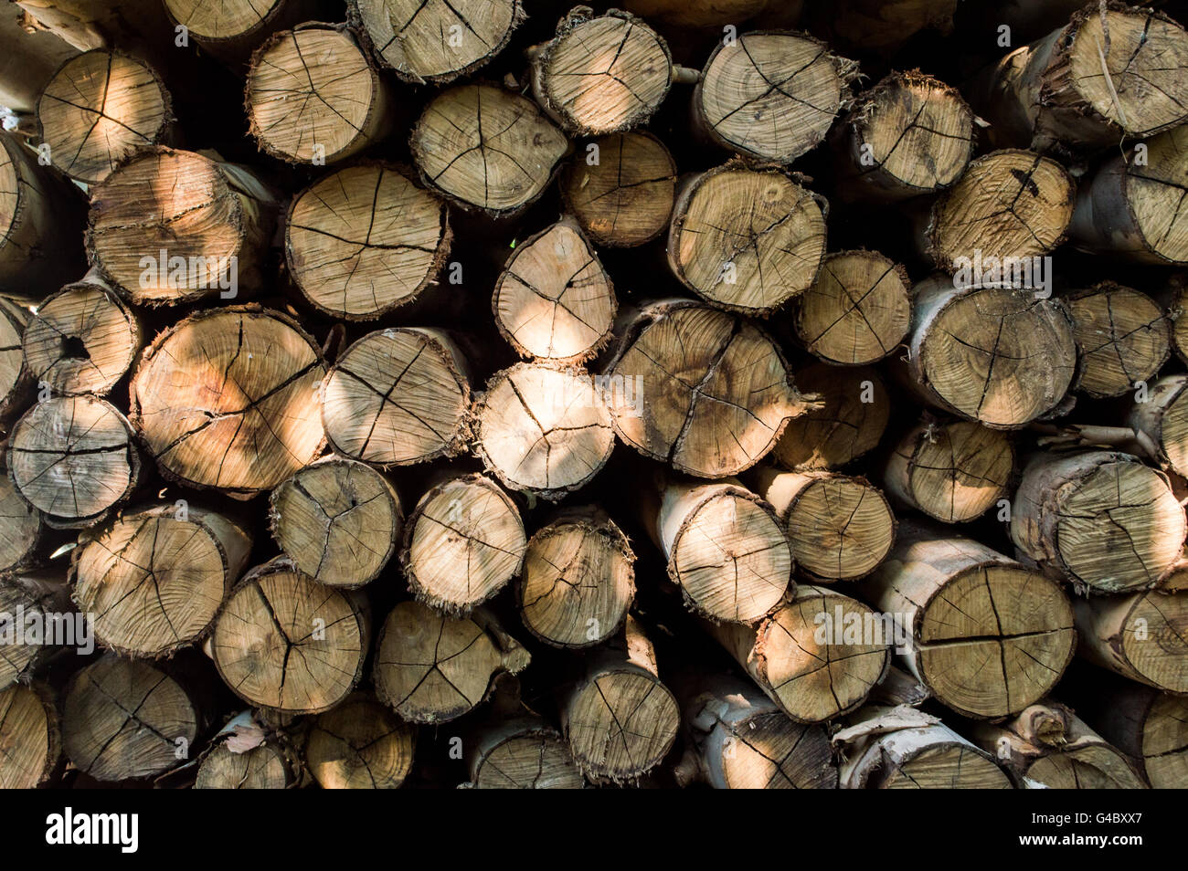 Timber fire hi-res stock photography and images - Alamy