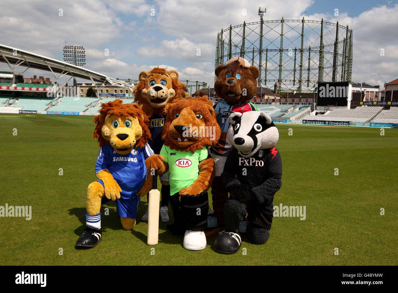 Lion millwall mascot hi-res stock photography and images - Alamy