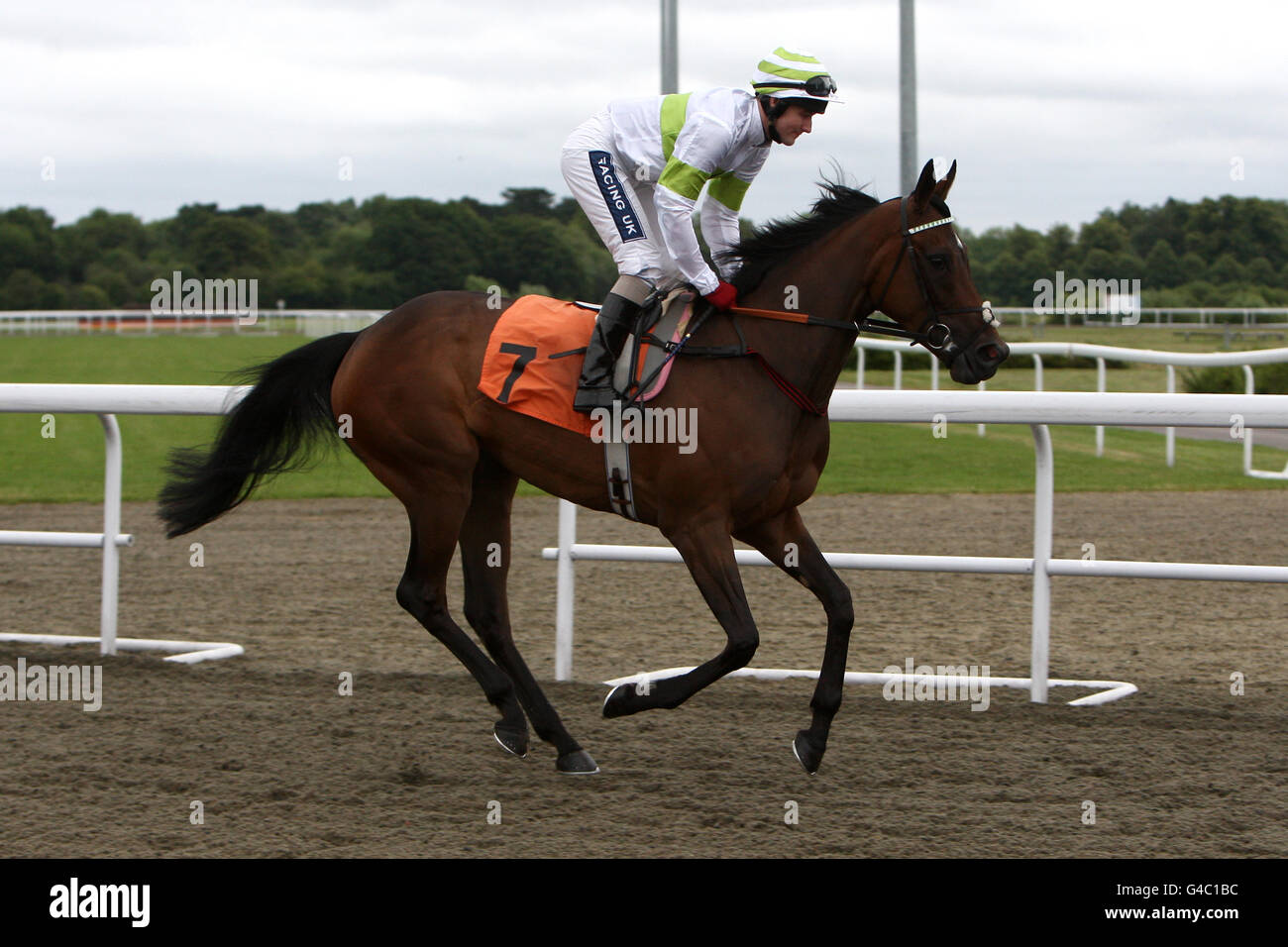 Jockey Tom Queally on Neumark goes to post in the Betdaq.com Exchange ...