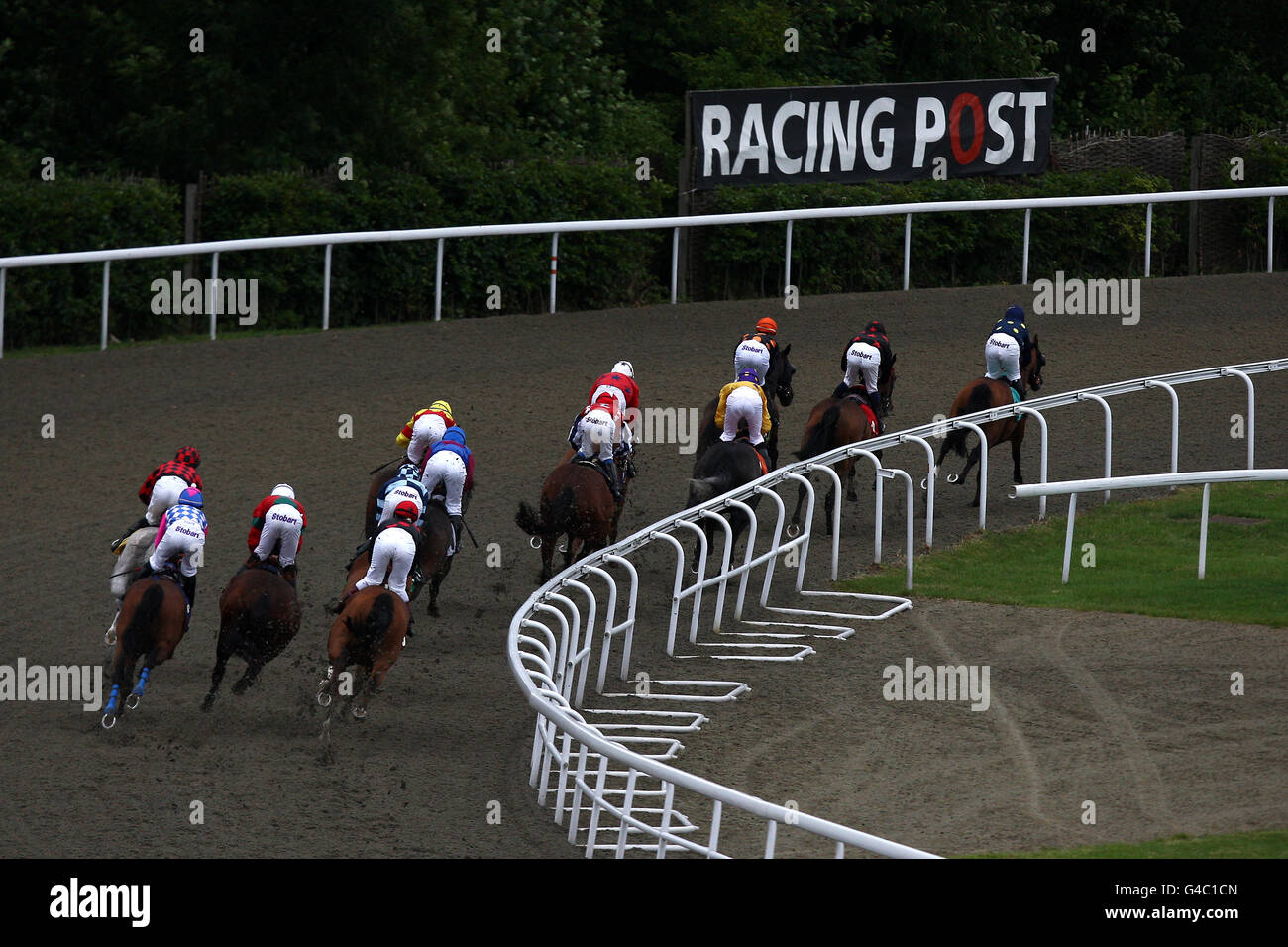 Runners and riders in the Free Entry For Betdaq Members Apprentice ...