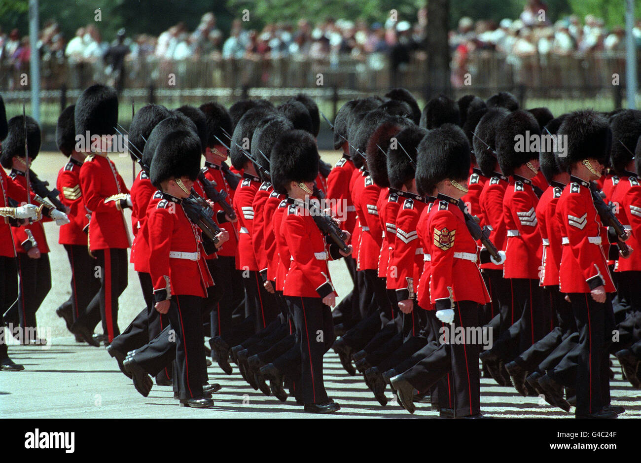 Colour of the 1st battalion grenadier guards hi-res stock photography ...