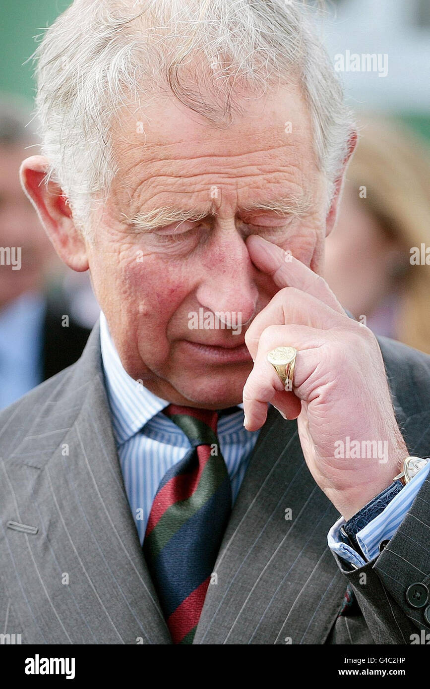 The Prince of Wales, known officially as the Duke of Rothesay when in ...
