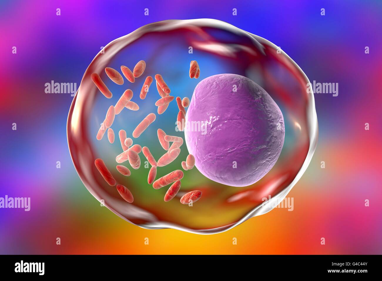Antibiotic rash hi-res stock photography and images - Alamy