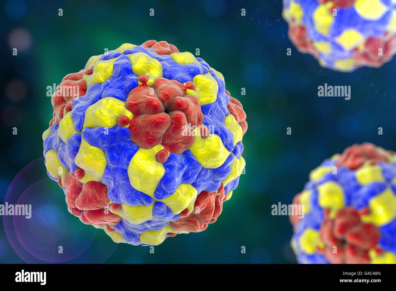 Parechoviruses, computer illustration. RNA viruses from Picornaviridae ...