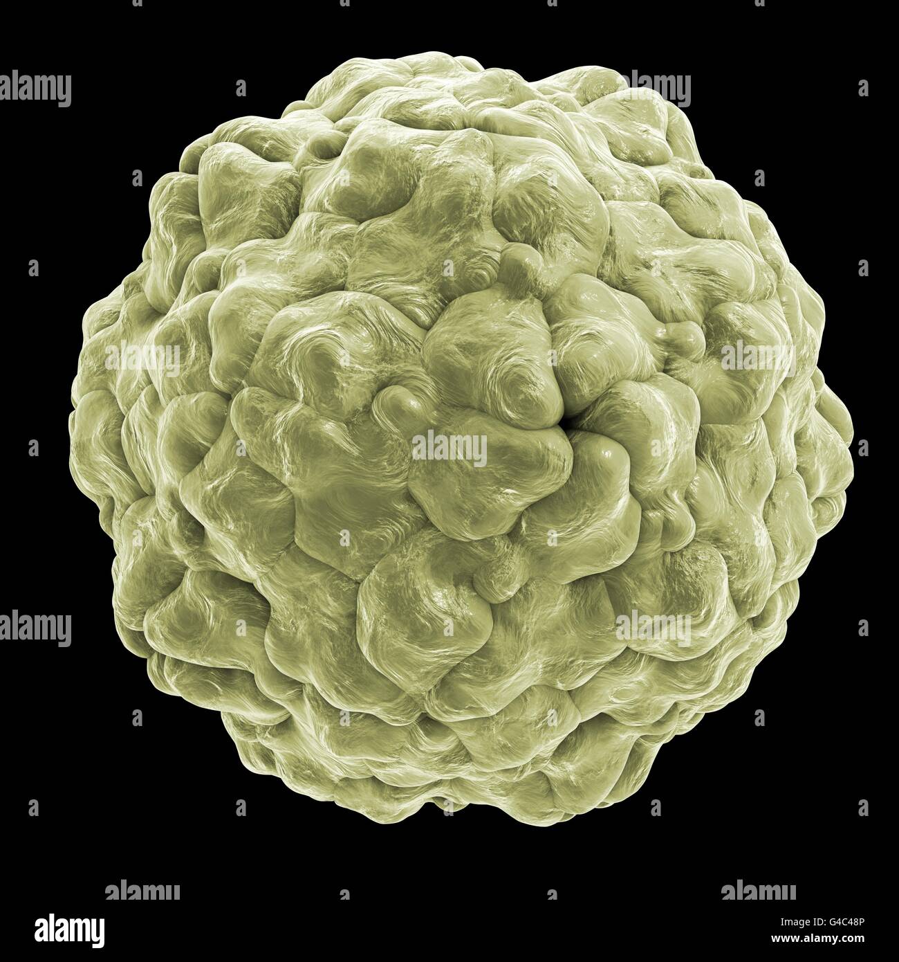 Parechovirus, computer illustration. RNA viruses from Picornaviridae ...