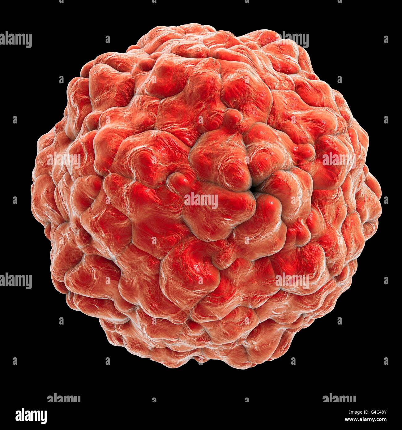 Respirator Brain