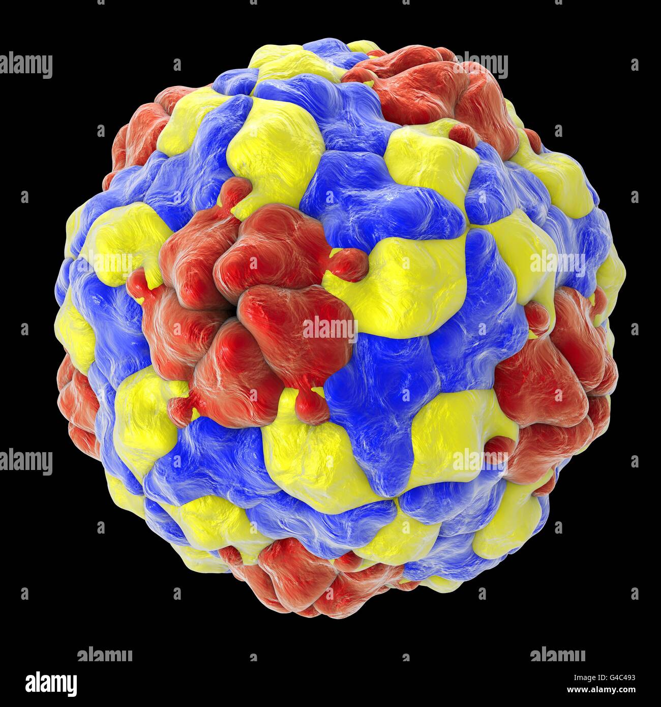 Parechovirus, computer illustration. RNA viruses from Picornaviridae ...
