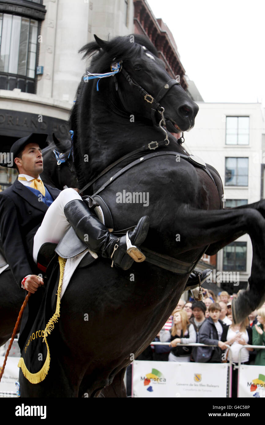 Dancing horses hi-res stock photography and images - Alamy