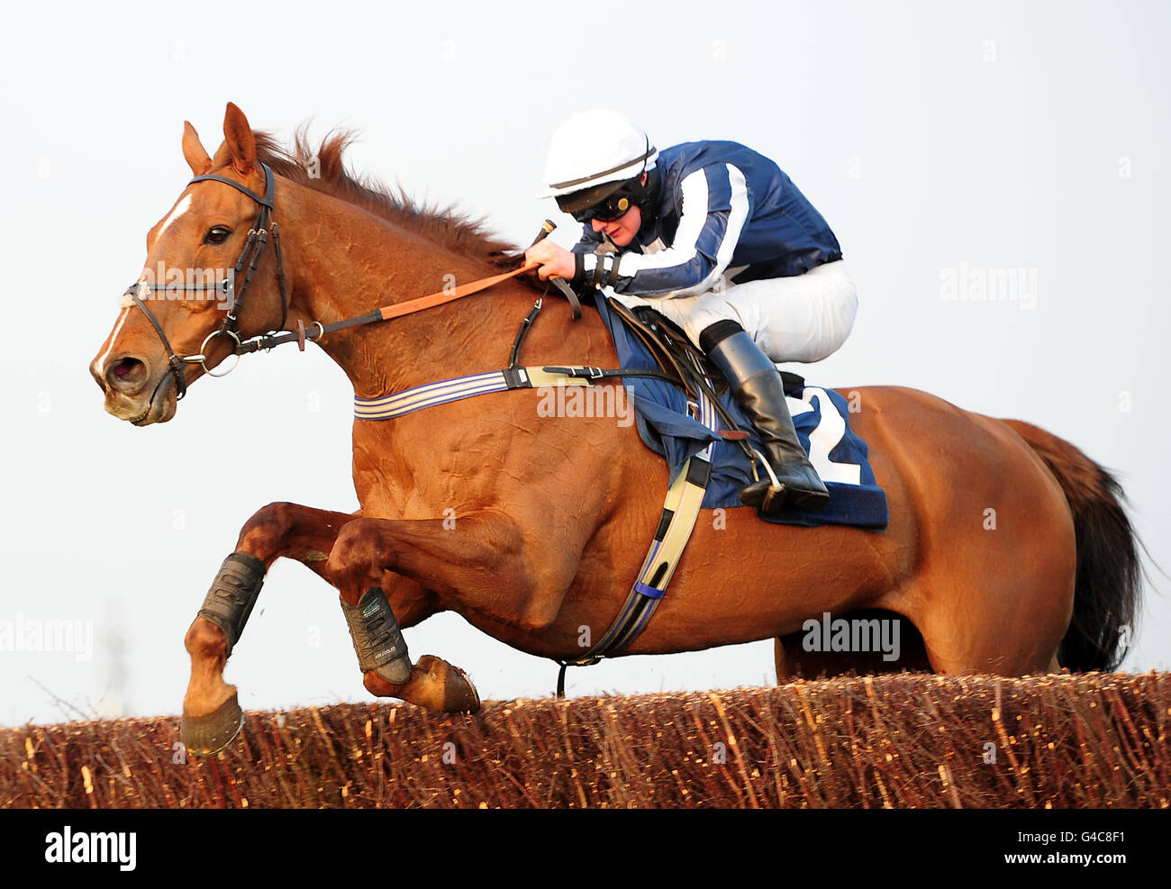 Gallant approach hi-res stock photography and images - Alamy