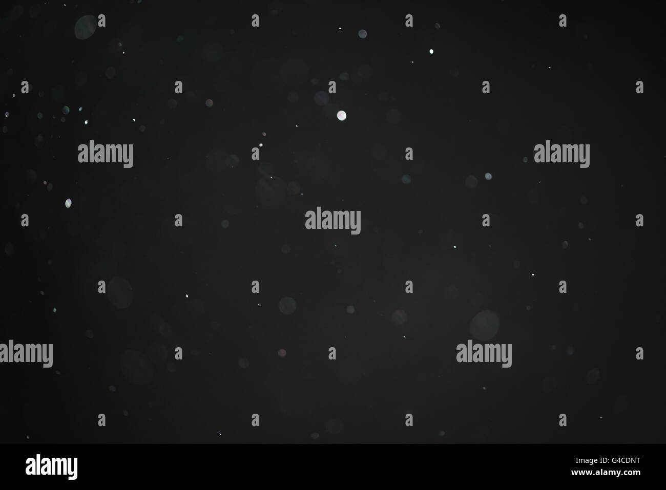 dust particles overblack background fx backdrop Stock Photo - Alamy