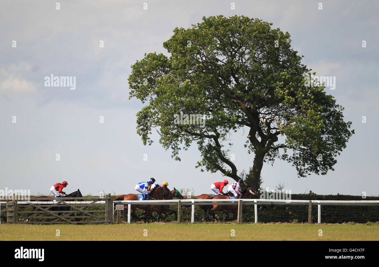 Beverley race horses hi-res stock photography and images - Alamy