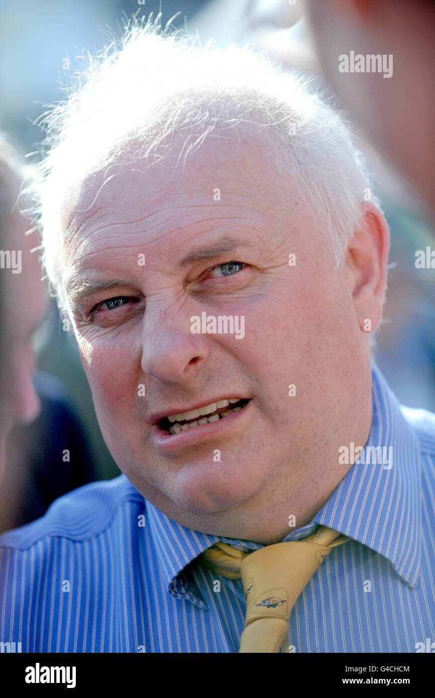 Peter bowen horse hi-res stock photography and images - Alamy