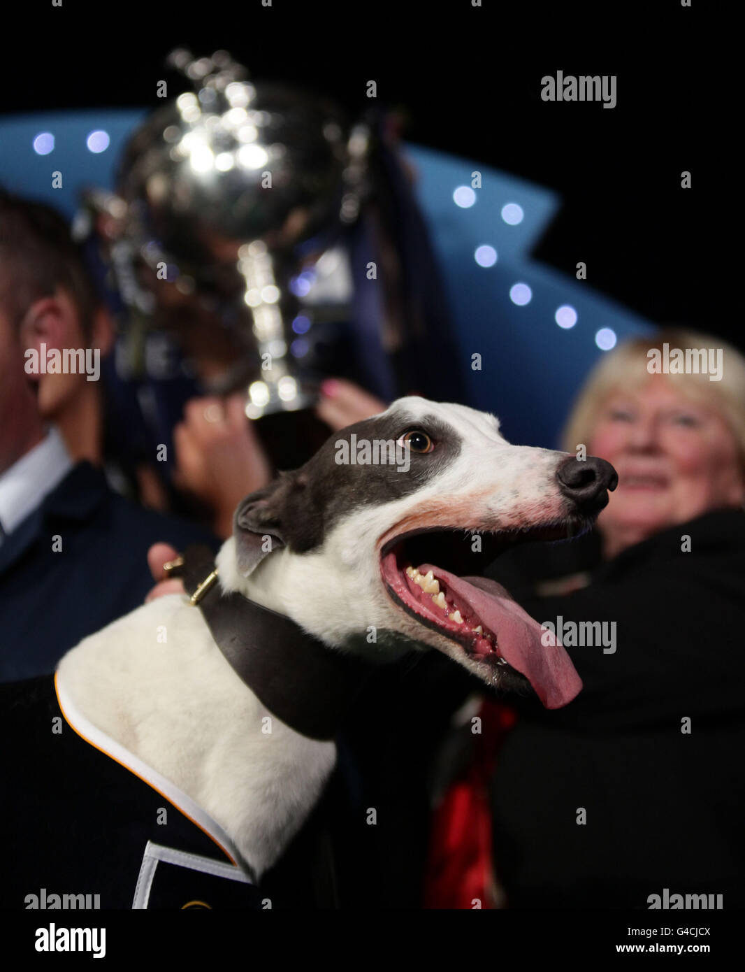 Wimbledon stadium in south london hi-res stock photography and images ...