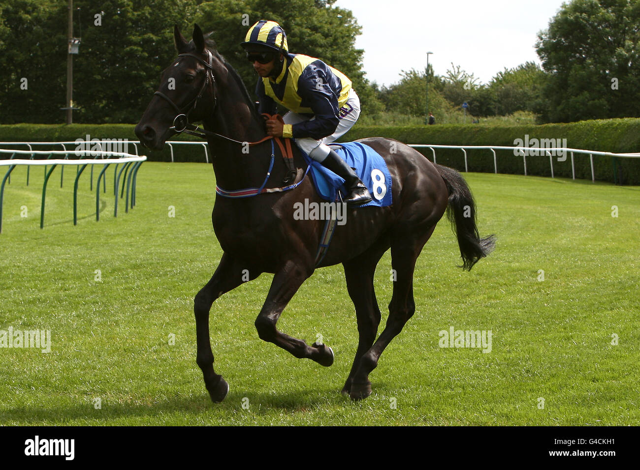 Jockey Royston Ffrench on Mina's Boy goes to post for the Bet On Live ...