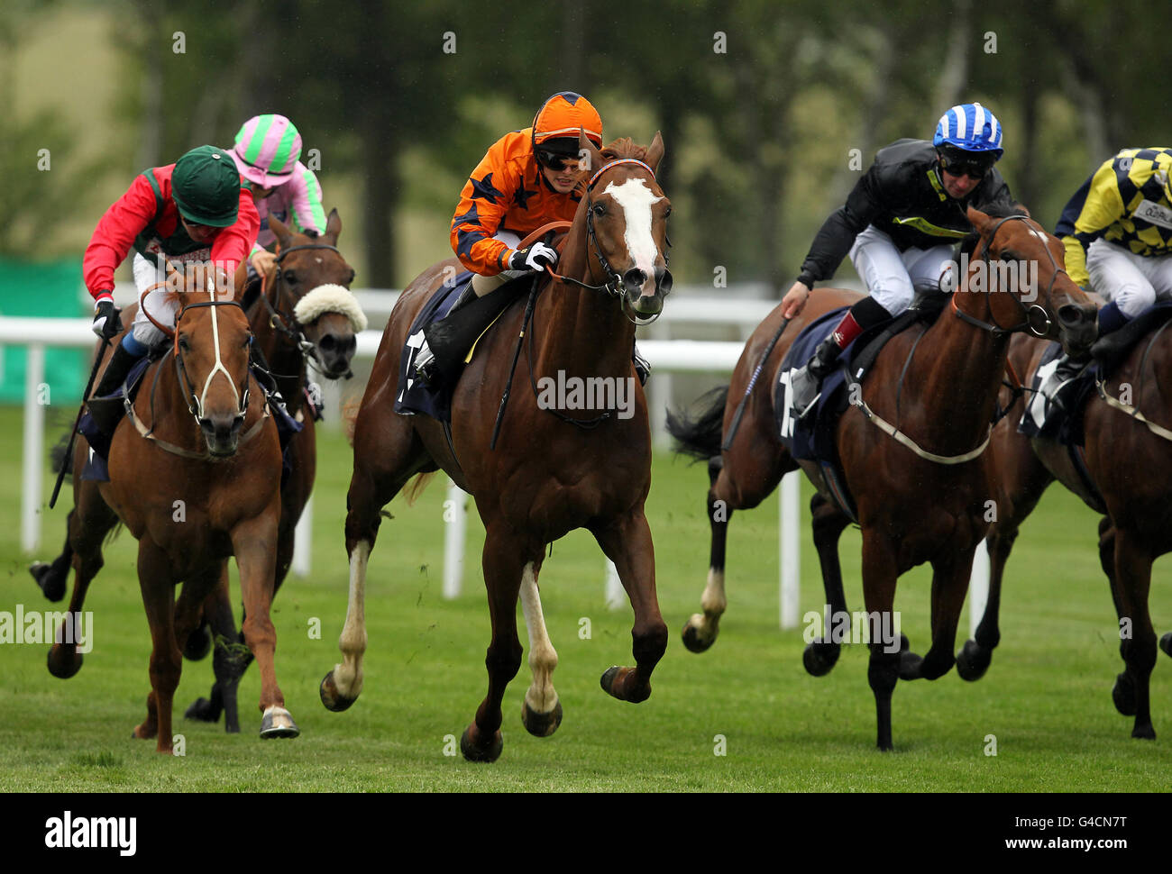 Horse racing newmarket nights 1 featuring jools holland newmarket ...