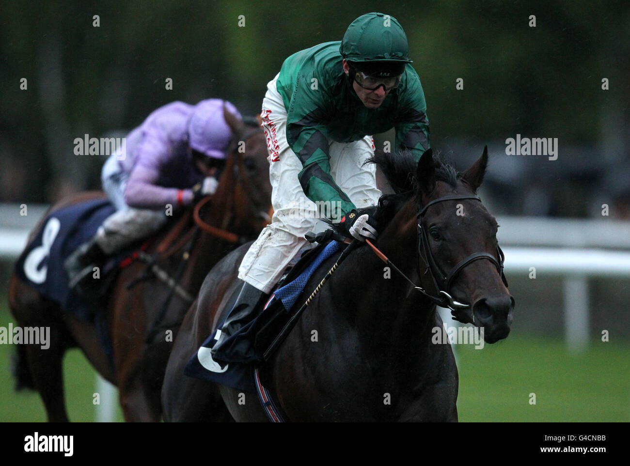 Horse racing newmarket nights 1 featuring jools holland newmarket ...