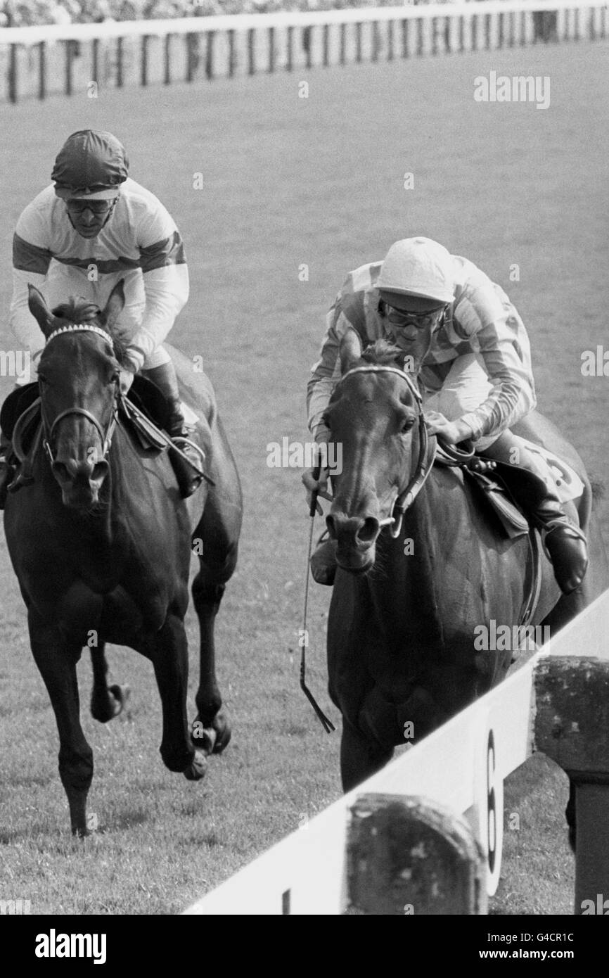 Horse Racing - Yorkshire Oaks - York Races Stock Photo - Alamy