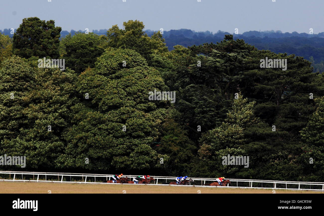 Horse racing ninth race meeting beverley racecourse hi-res stock ...