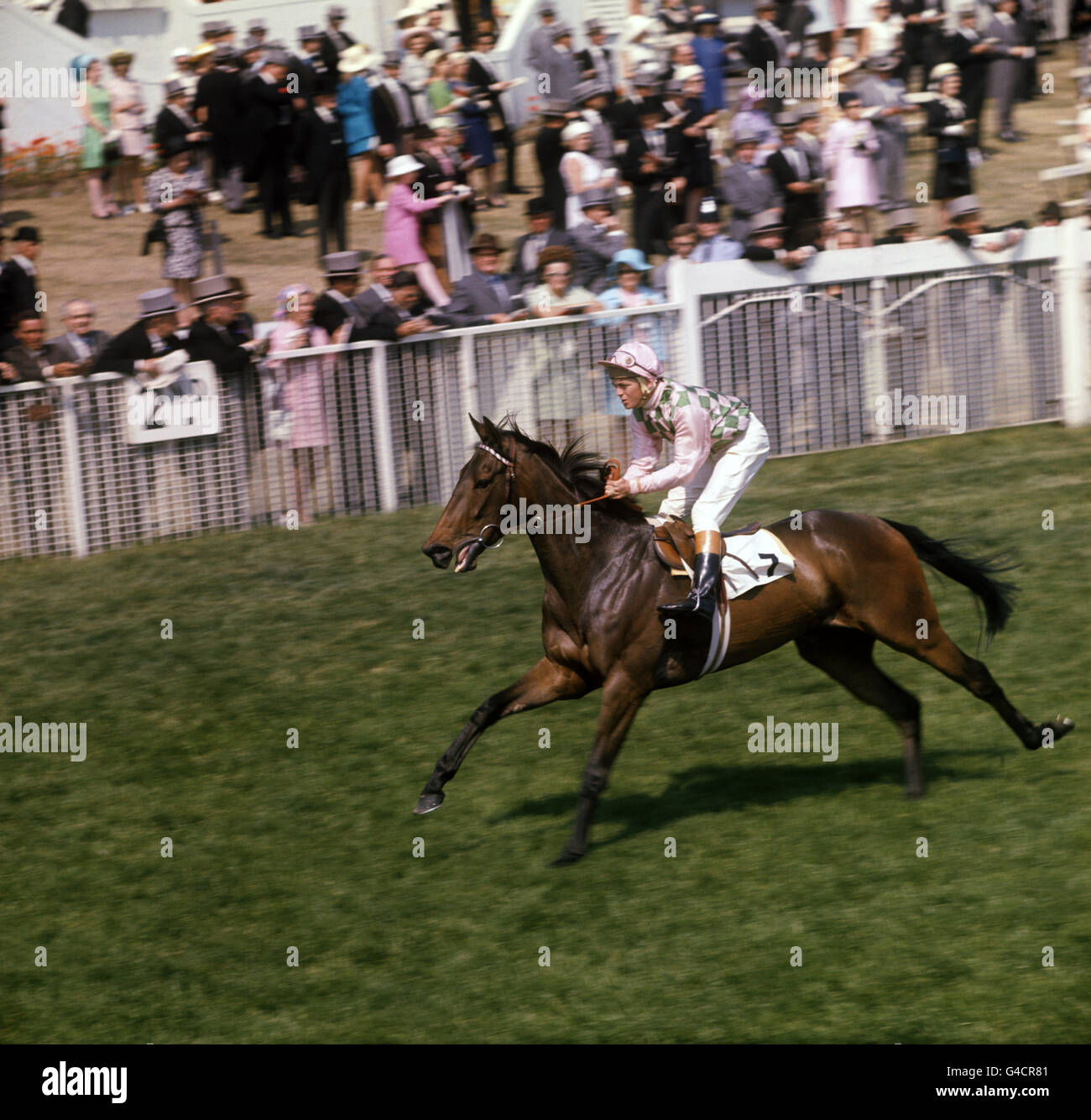 Horse Racing - Lupe. Lupe, with A. Barclay up, in action Stock Photo ...